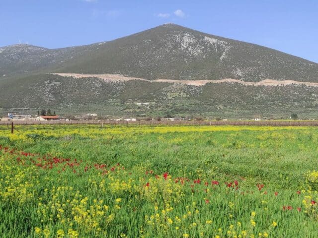 11 Reasons to Visit Didyma in Greece - a Peloponnese Hidden Gem